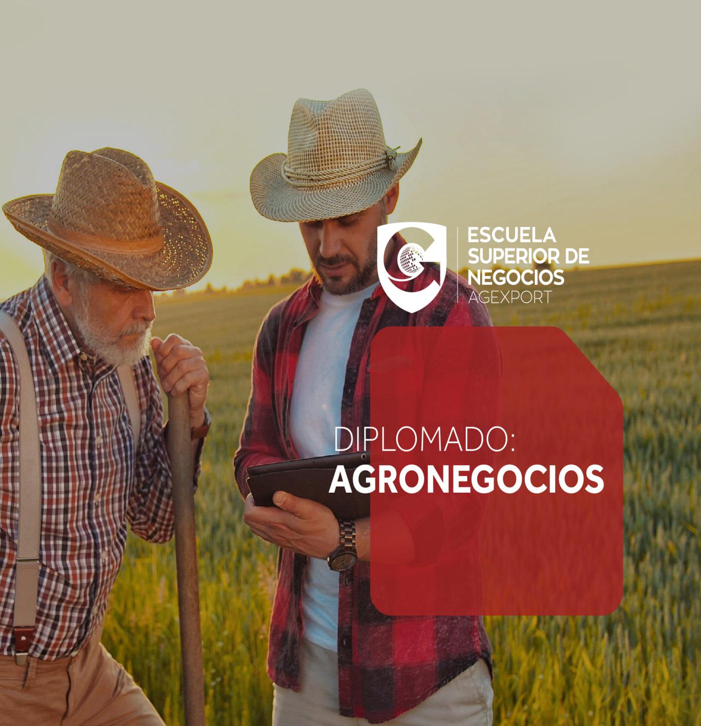 AGEXPORT - Asociación de Exportadores de Guatemala