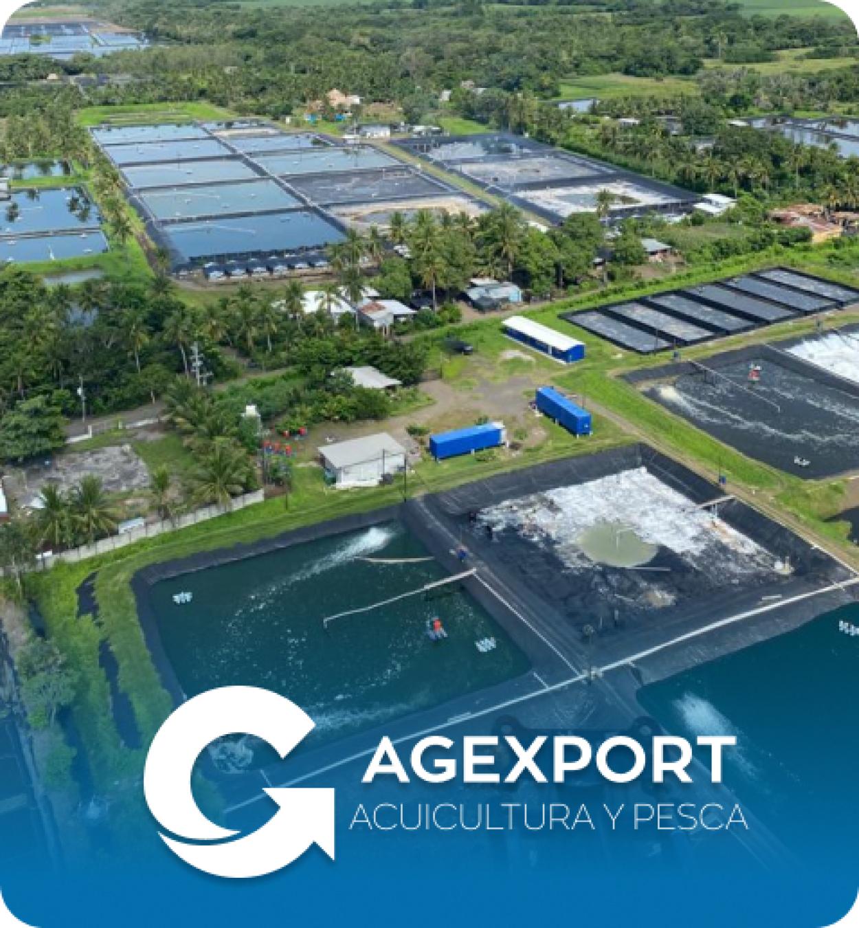 AGEXPORT - Asociación de Exportadores de Guatemala